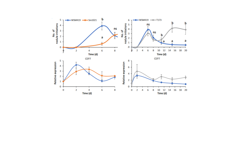IPS2 - Ametys, Web Java Open Source CMS